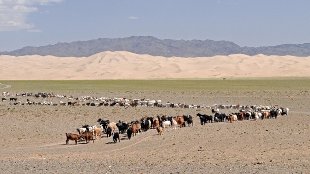 Fatos interessantes sobre o Deserto de Gobi | China na minha vida